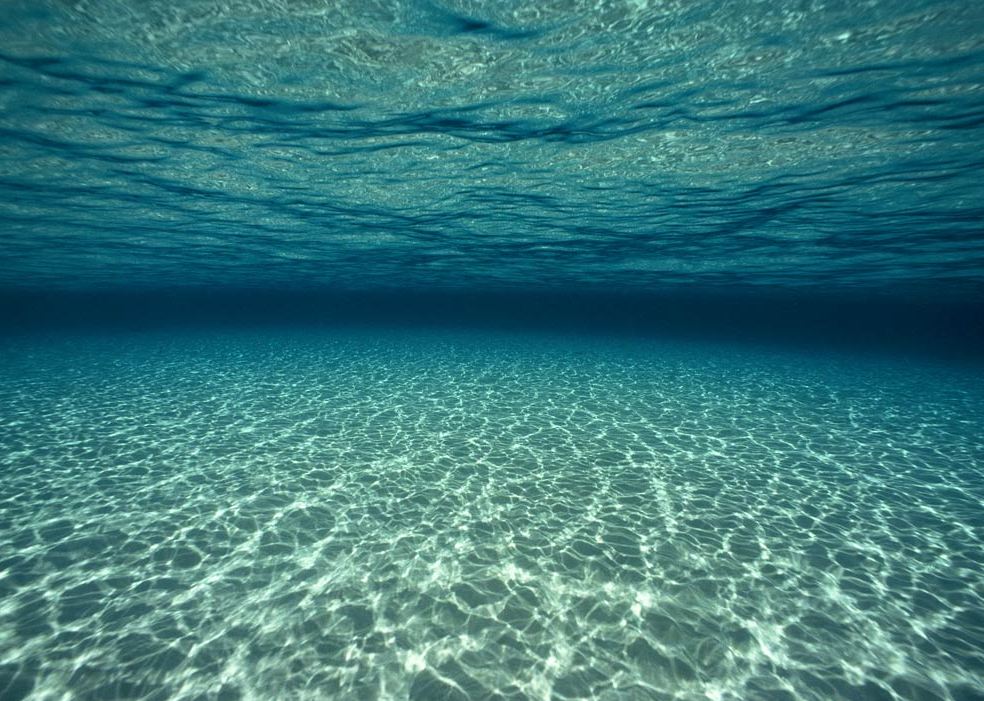 Una realidad conflictiva: Océanos sin peces en 2050