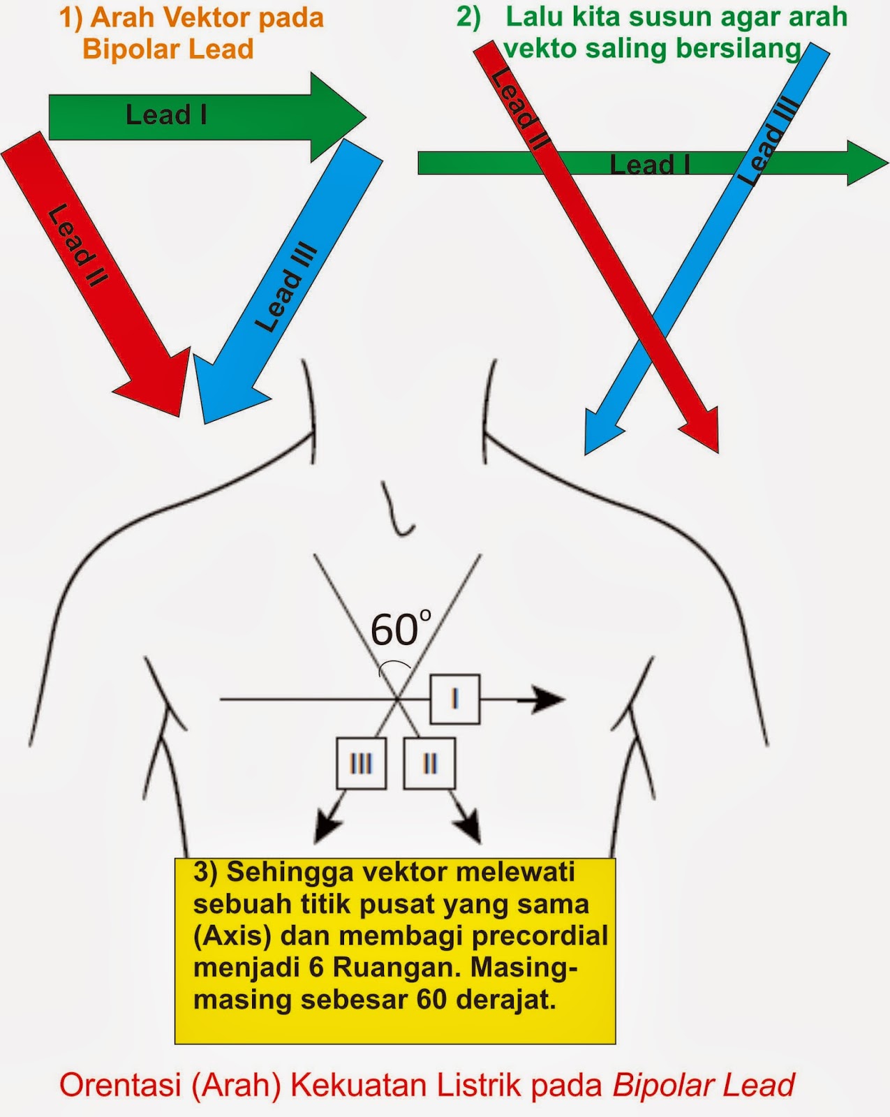 Hexaxial Reference System “Sistem Acuan enam”