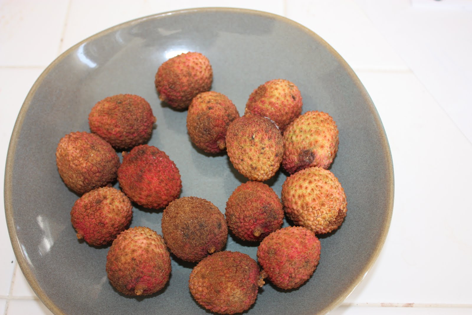 Newbie Gardener: Lychee!!