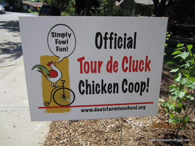 Chickens For Eggs - Chicken Consulting for the Urban Backyard Flock ...