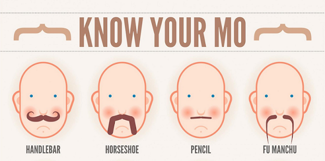 Know Your Mo [Infographic] - Visualistan