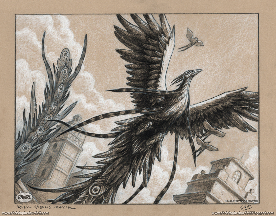 The DOODLES, DESIGNS, and aRT of CHRISTOPHER BURDETT: Coveted Peacock ...