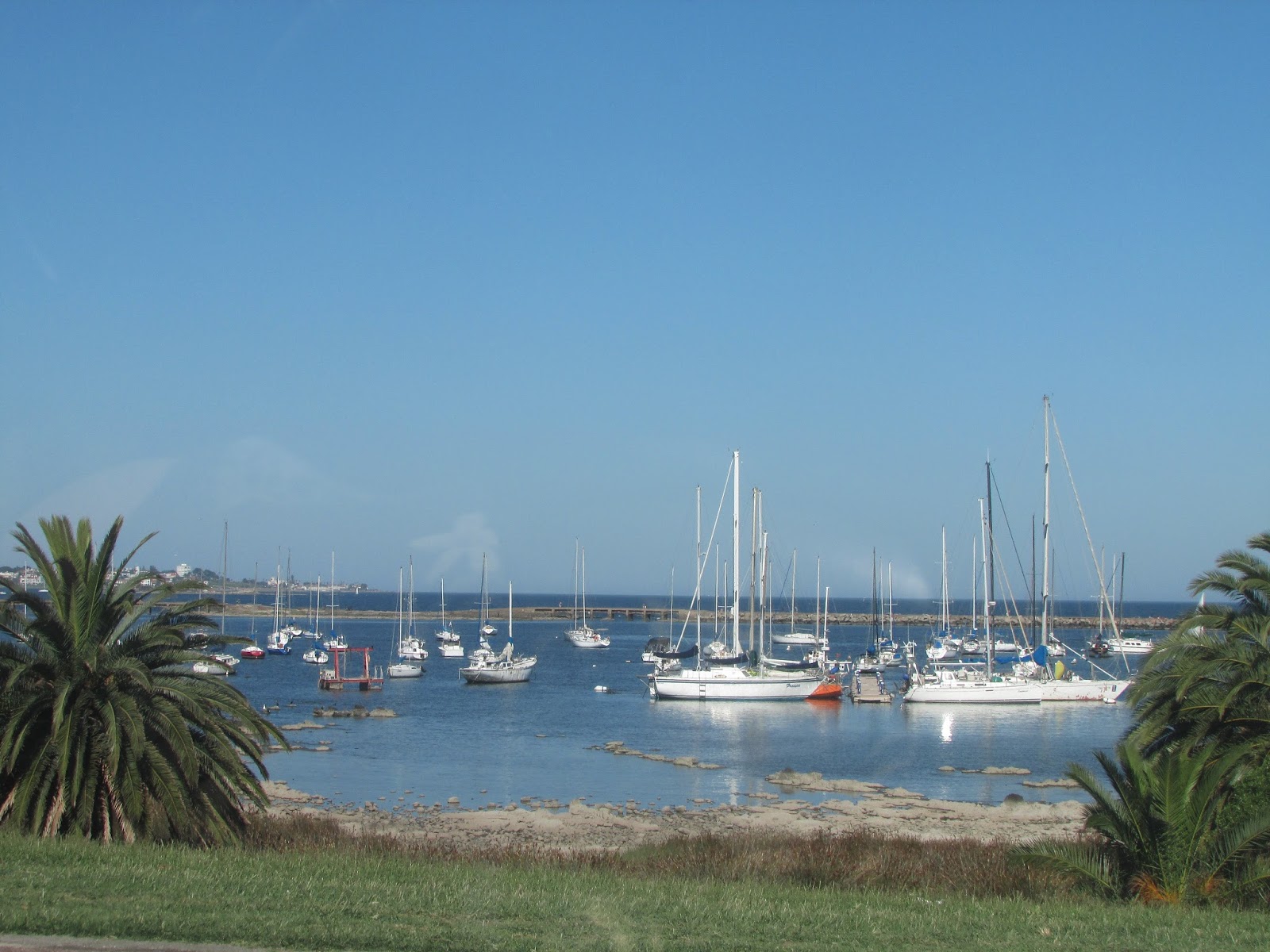 60 razões para viver: Janeiro 2017