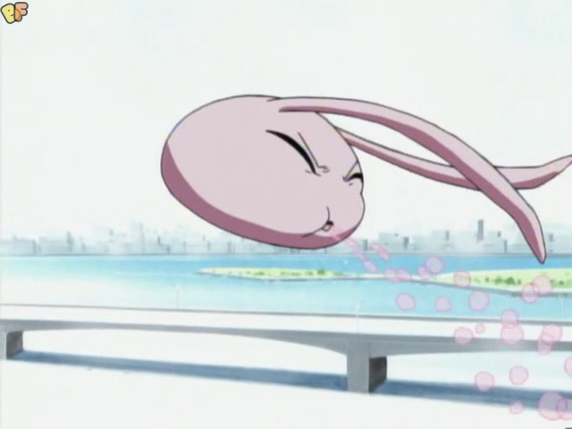 Digi-Arquivo: Koromon ~ PMD || Acervo de Imagens de Digimon e Pokémon ...