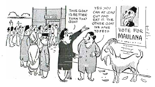 Rows of inappropriate Indian political Cartoons