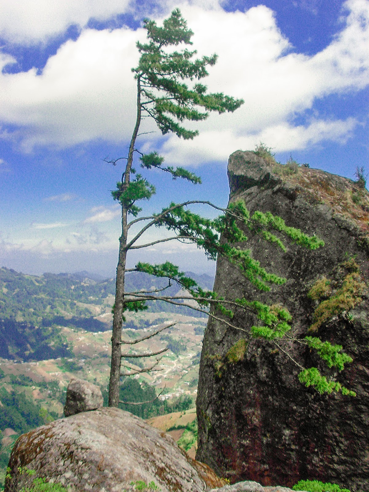 Aldea Pixabaj "Yamanïk": Cerro María Tecún "Yamanik"