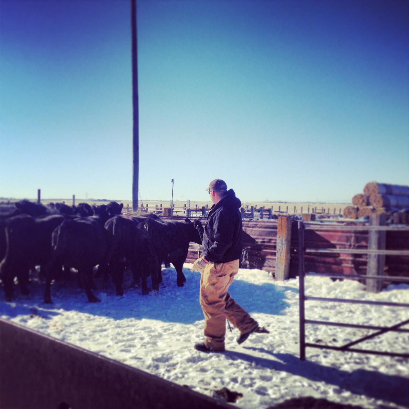 That's What She Said...: The Beef State