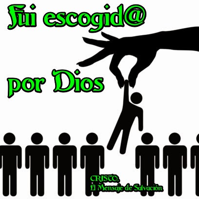 Sigo al Maestro: YO TE ESCOGÍ