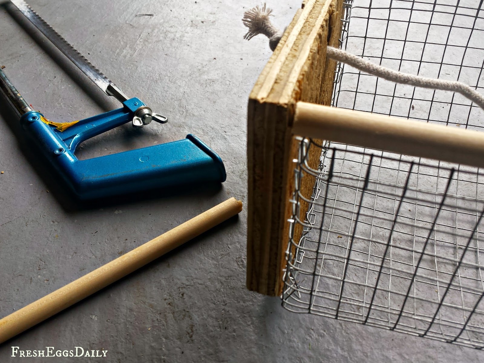 DIY Wood and Wire New England Clam Hod Egg Basket - Fresh Eggs Daily ...