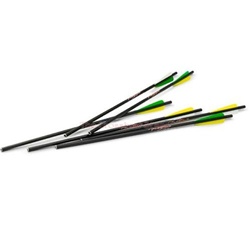 Your Bows and Beyond: Identification Codes and Markings on Arrows