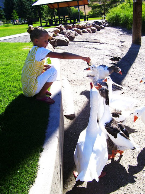 A Little Bird Told Me: Logan Love: First Dam