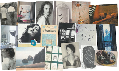 Alpha Mayle | Home Design Interior