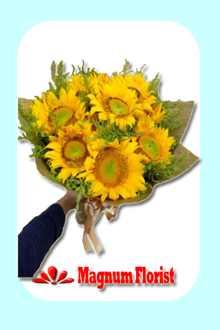 Toko Bunga Magnum Jakarta Barat - Online Florist Indonesia 24 Jam ...