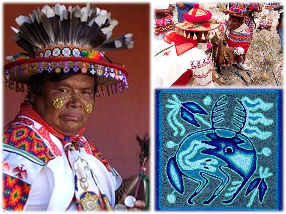 CHAMANES DEL MUNDO: HUICHOLES, CONCEPTO DEL HOMBRE Y DE LA ENFERMEDAD