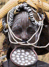 How Far Is Too Far?: Dennis Avner