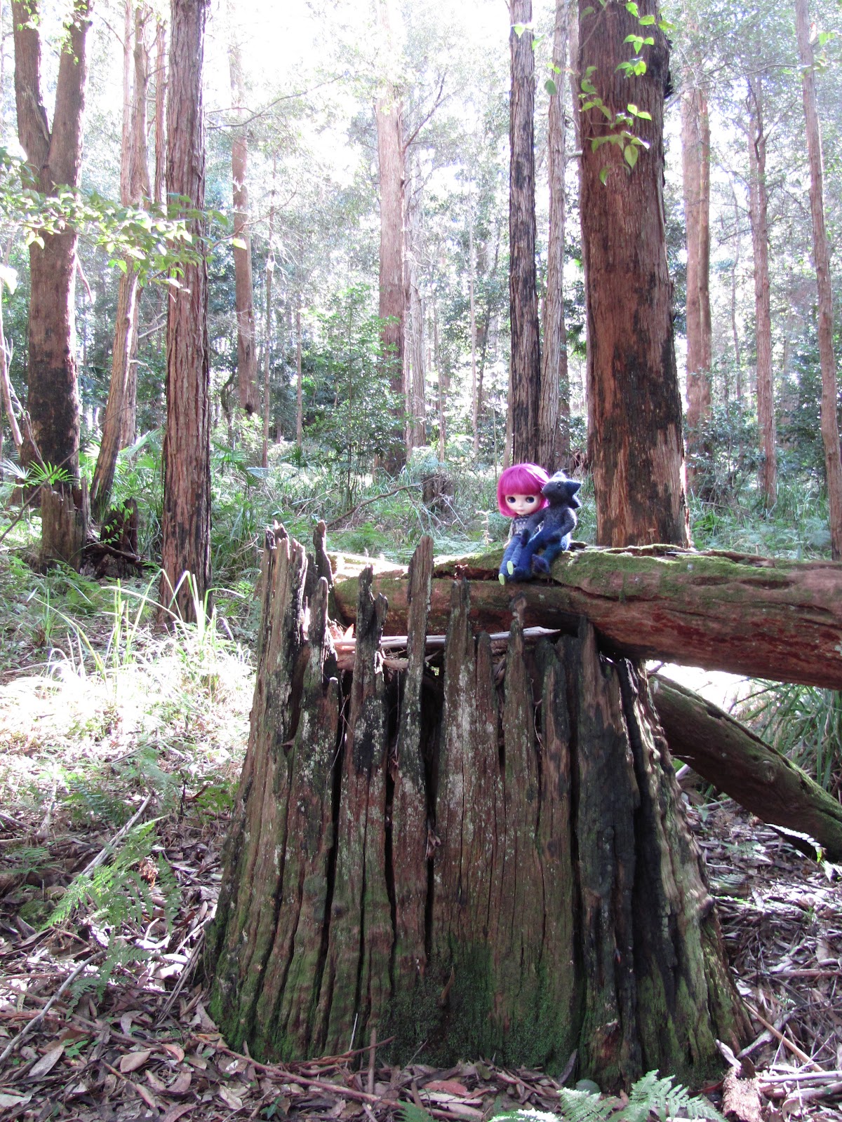 Fashioned by Lyndell: Day-Trip to The Royal National Park with dolls