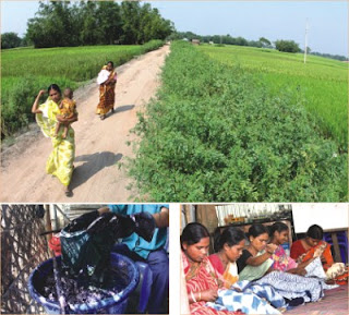 MARXIST: Indigo Revolt in Bengal (1859-1861)