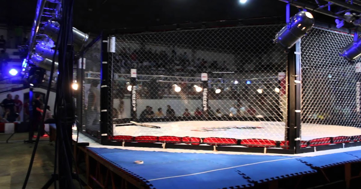 Utah MMA and Boxing : Moa wins SteelFist title, Collard to meet Dennison