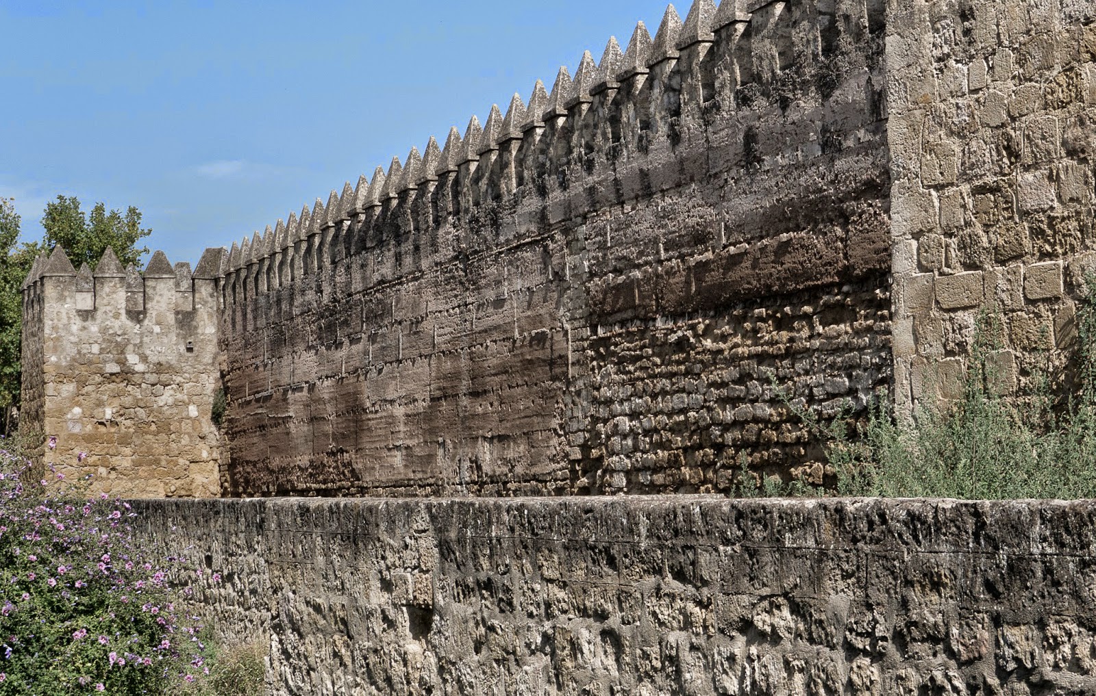 FotoCumuloDisorganizzato