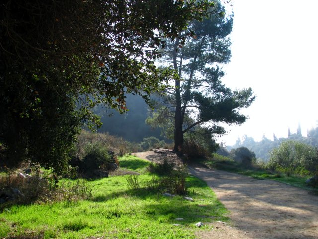 Take A Hike!: Hike In Eaton Canyon - Altadena, CA