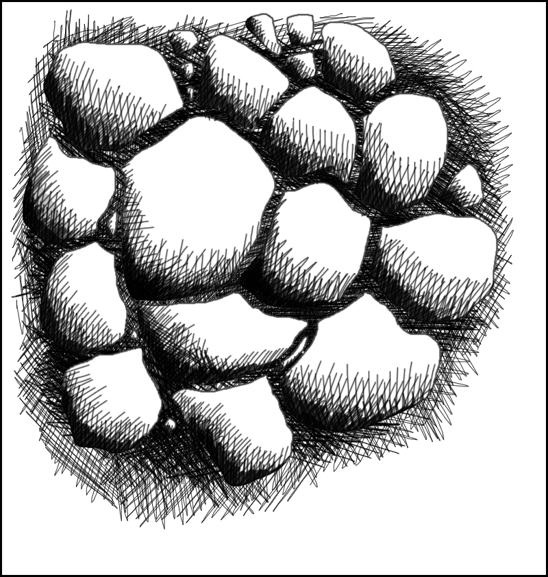 Saturday, August 6, 2011