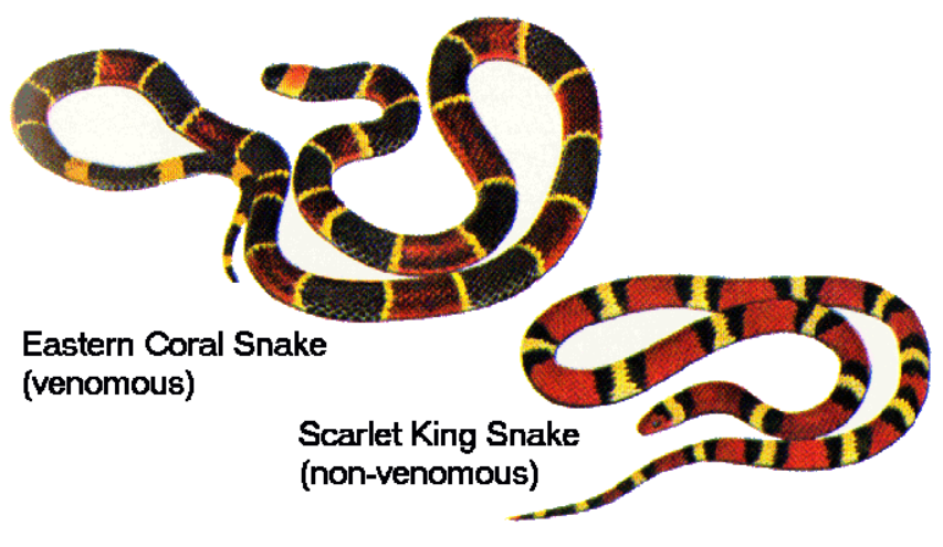 Hidden Valley RV, a Little Piece of Country in San Antonio: When Red ...