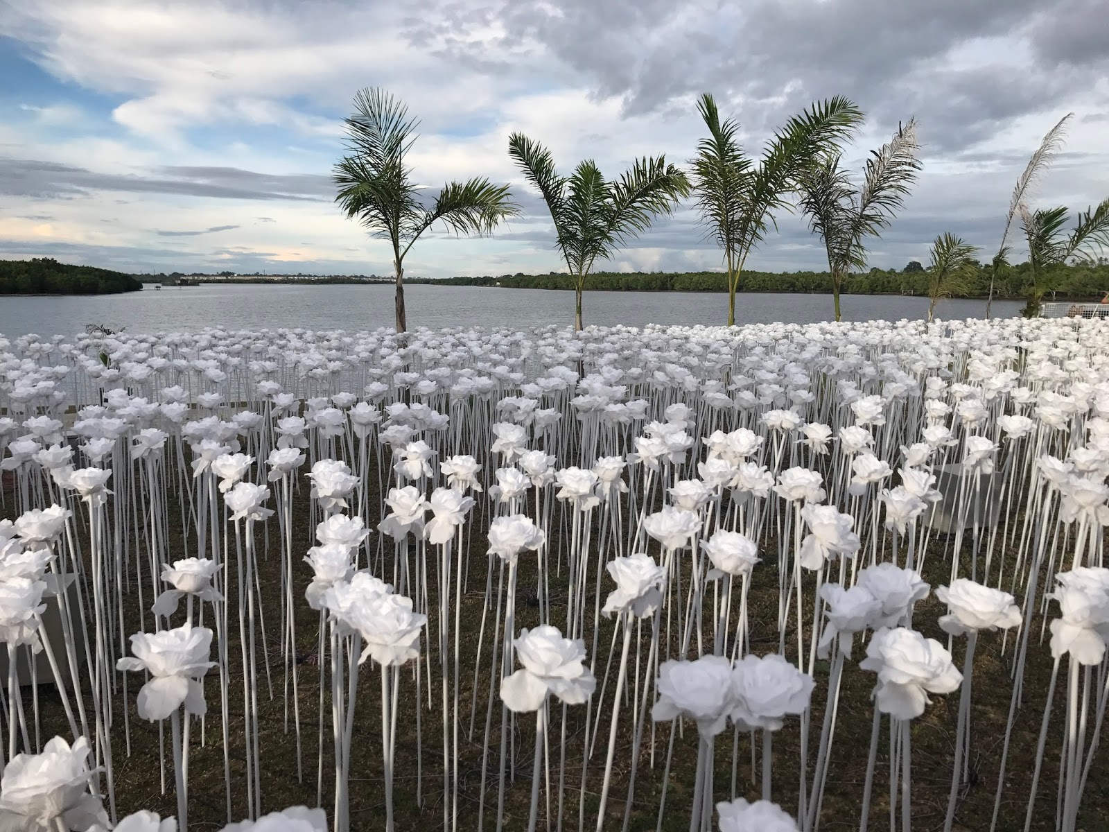 What Mary Loves: When in Cebu: 10,000 Roses Café