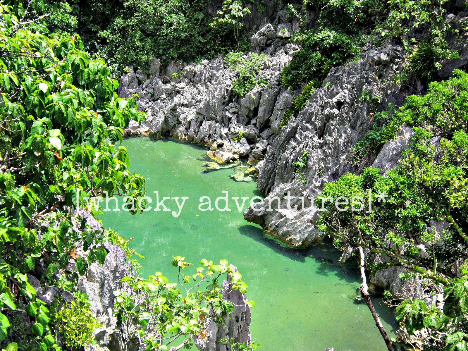Whacky Adventures*: Caramoan Islets 2: Long wait finally over!