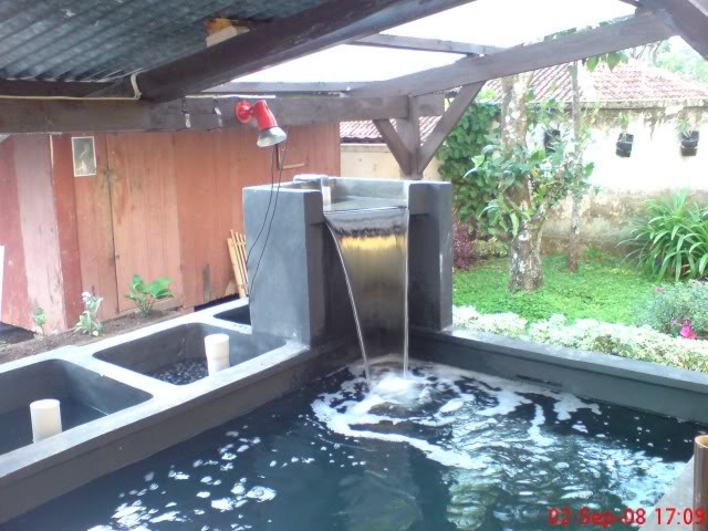 Sekilas Tentang Sistim Filter Kolam Ikan