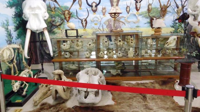 Museum Rahmat Internasional Wildlife Galery | Pesona Keindahan Alam ...