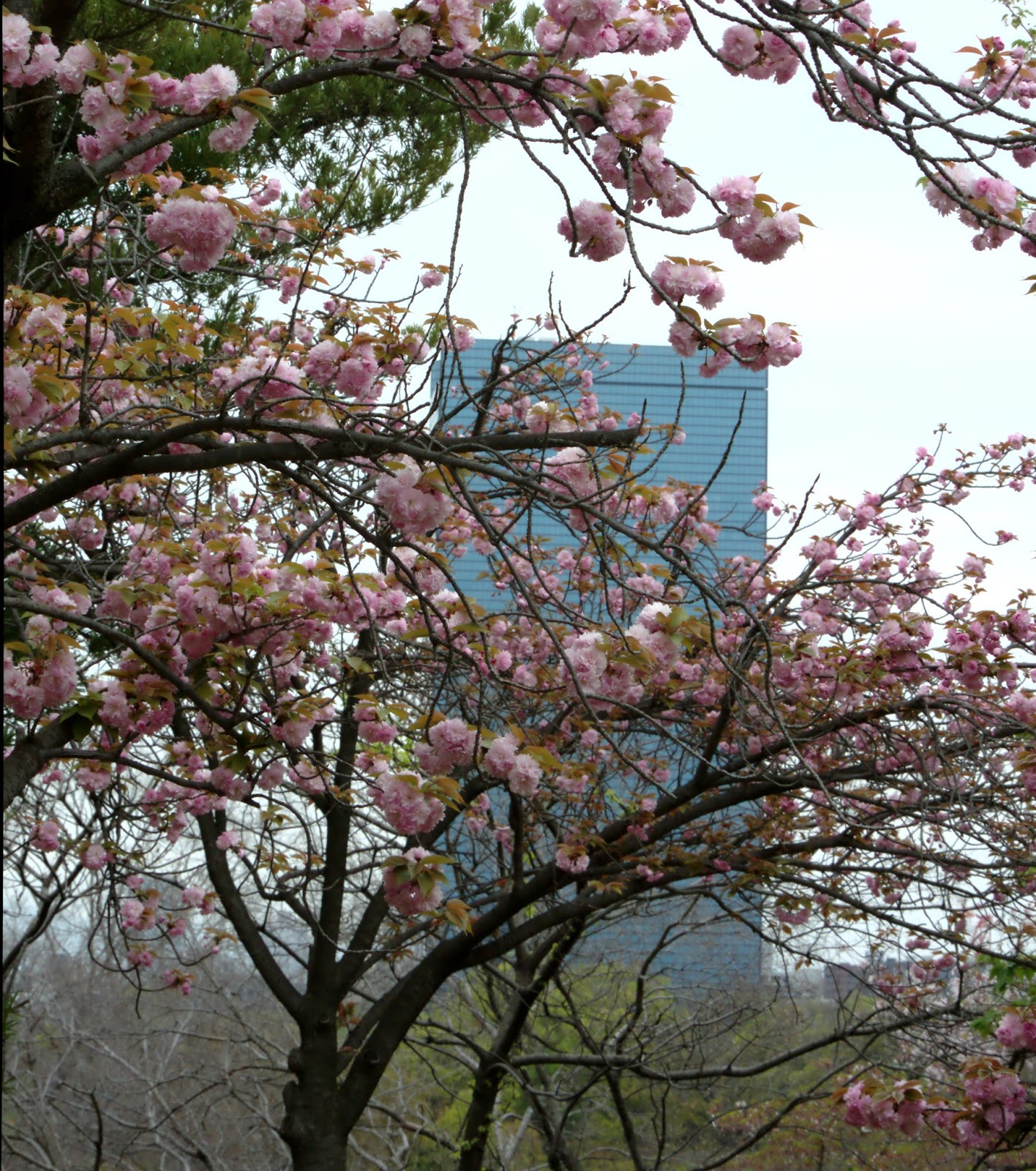 Domo World Japan Tour: Osakan linna