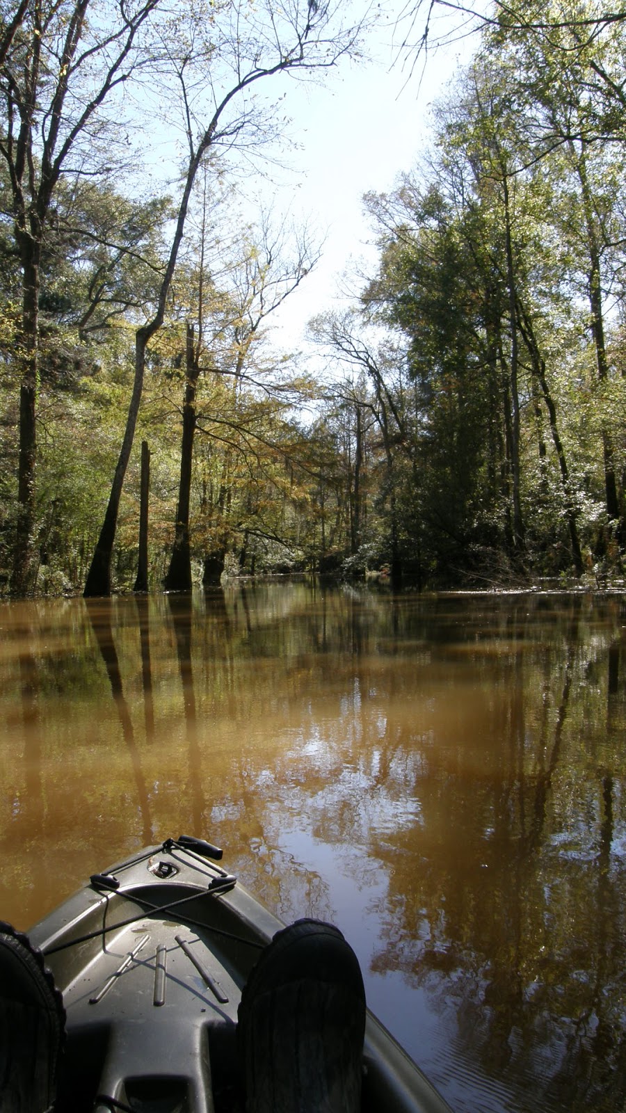 Kints: The Unfathomed: Big Swamp and Big Lake, 22 November 2015