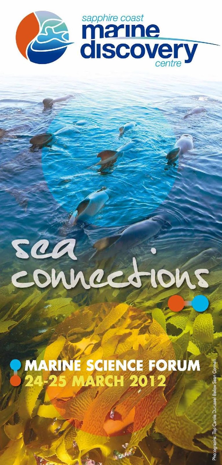 marinediscovery: February 2012