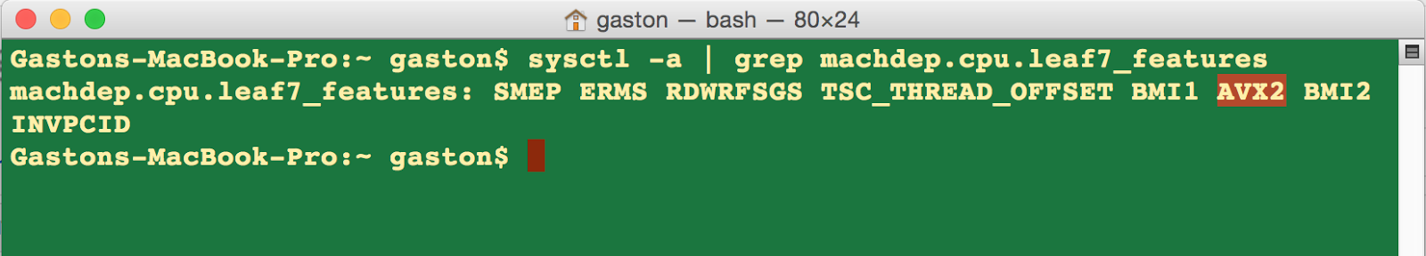Serious Multiplatform Software Development: How to check Intel AVX2 ...