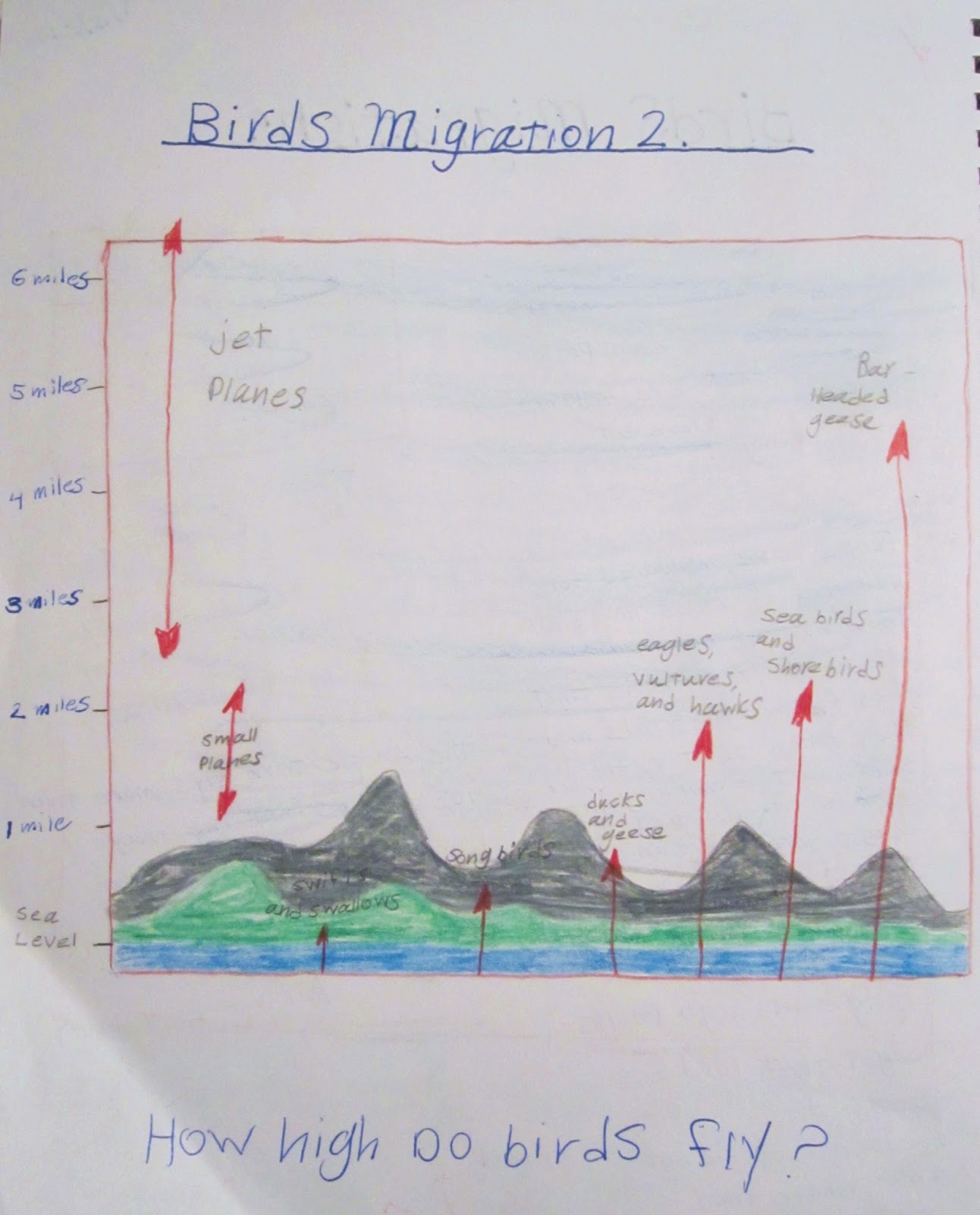 Harvest Moon by Hand: Outdoor Hour Challenge: Winter Series #7 - Winter ...