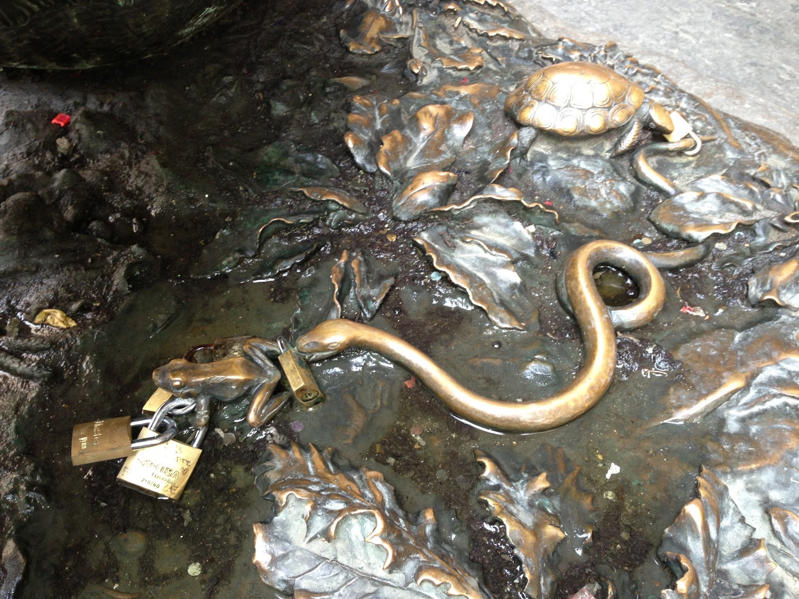 Good 4 U Gastronomy: Cinghiale: Wild Tuscan Boar