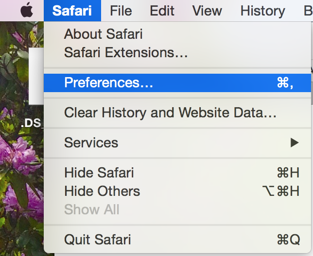 Jonathan Tutorials: How to enable full URL by default in Safari Smart ...