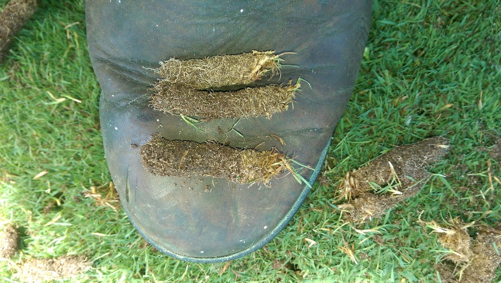 The Wyndgate Golf Club Maintenance Department: Golf Course Maintenance ...