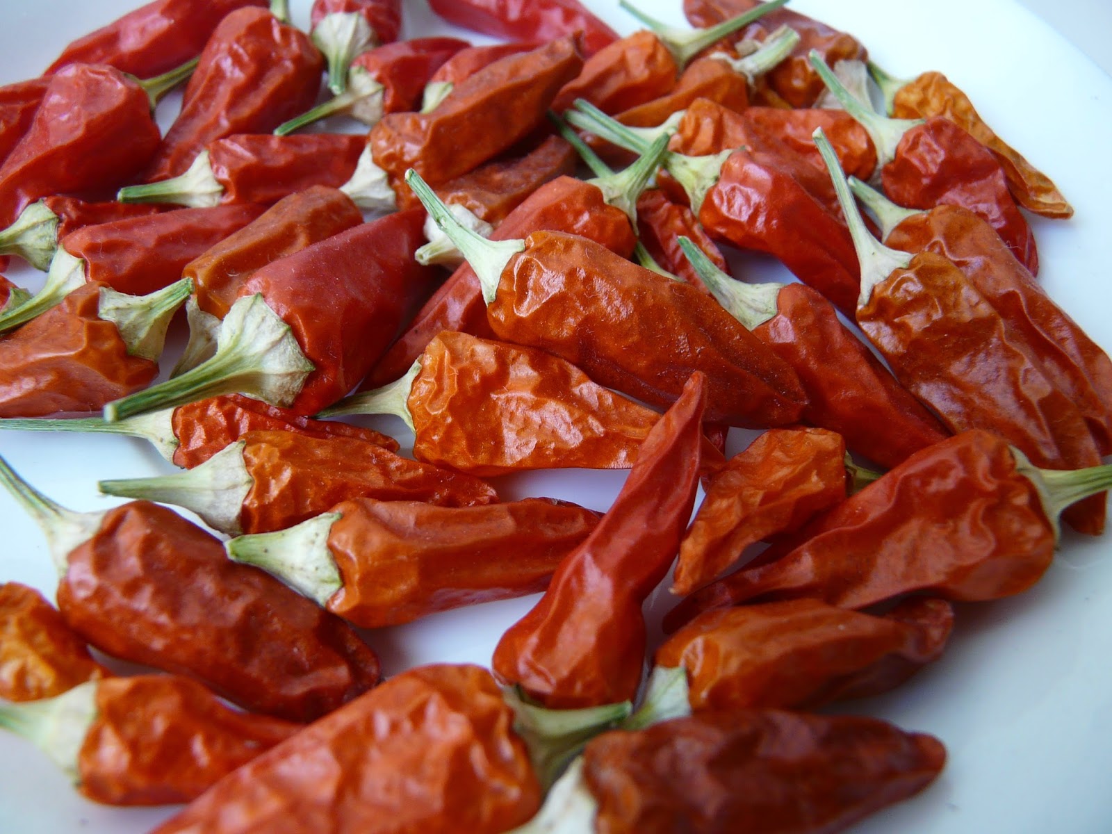 10000MANERAS: LA CAYENA