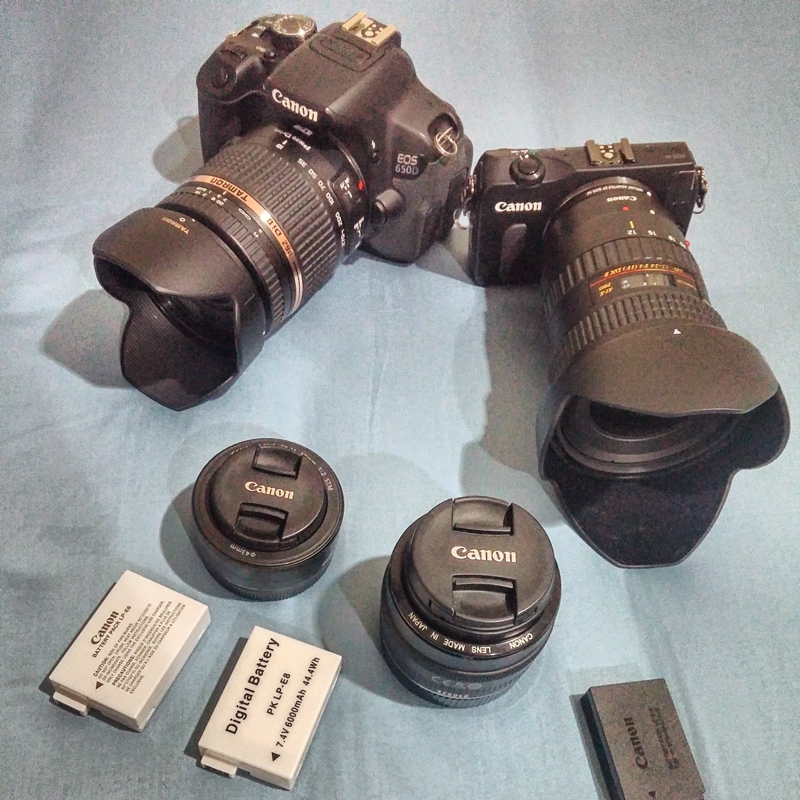 BEJO Photography: Why Micro Four Thirds?!?!?