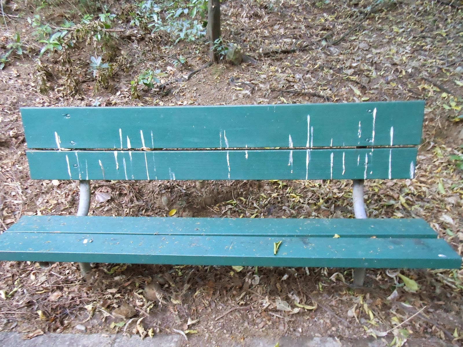 WASA! Wild and Sneaky Art®