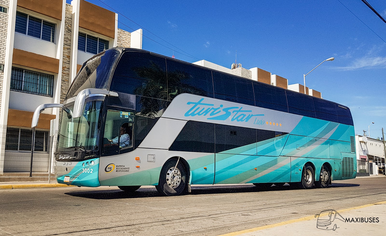 MAXIBUSES: TURISTAR LUJO