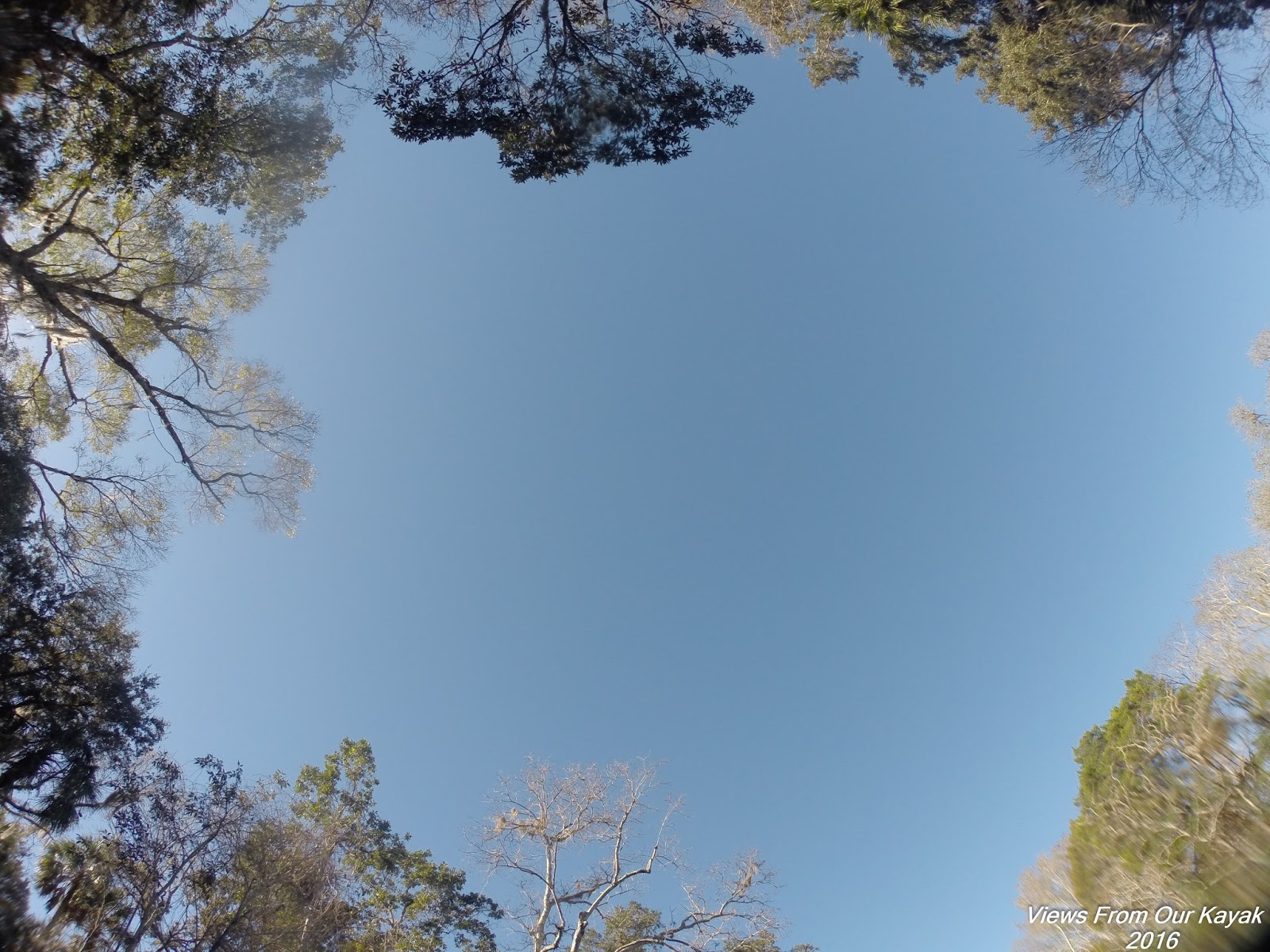 Views From Our Kayak: Hospital Hole (Weekie Wachee River)