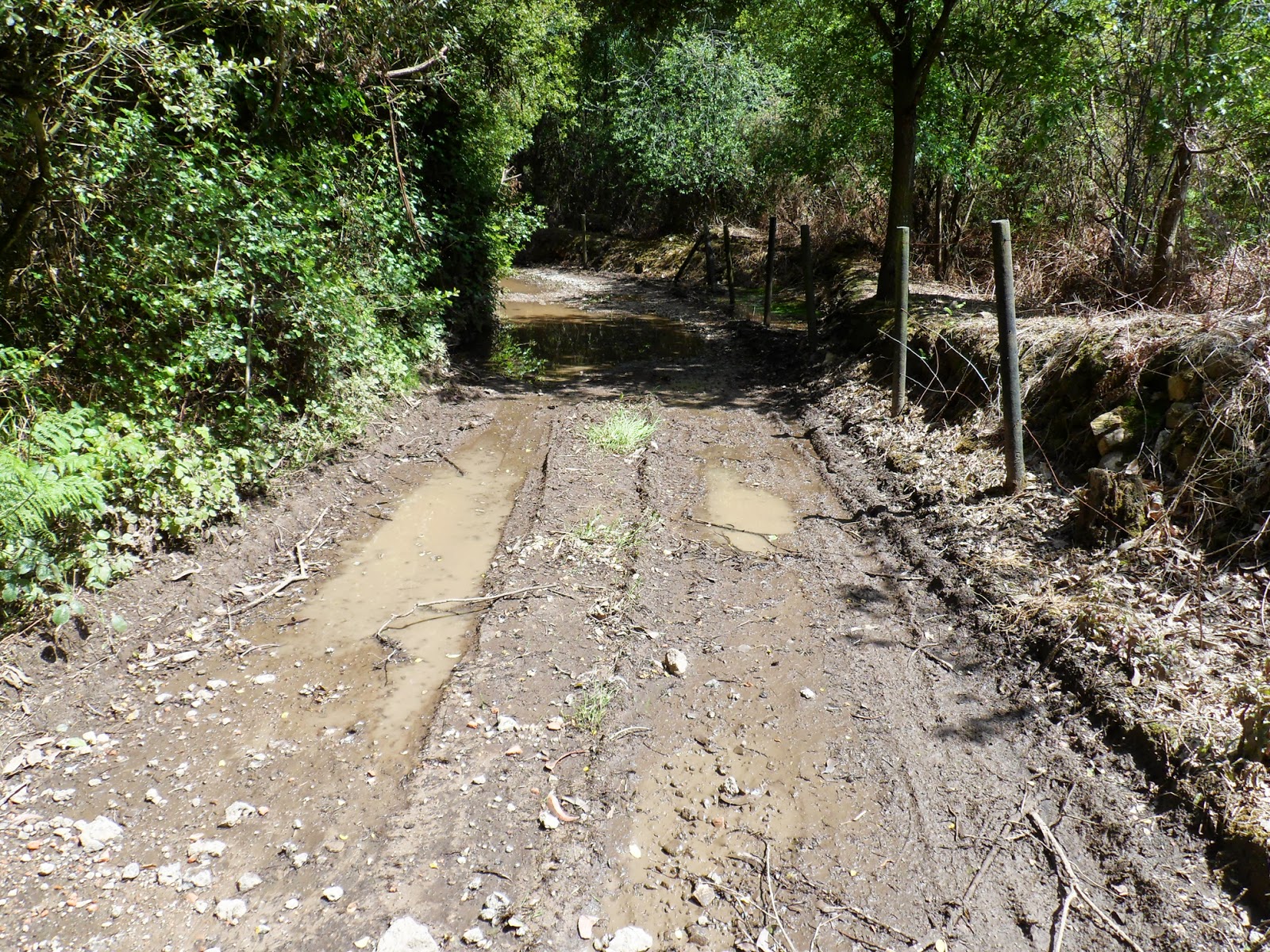 Senda BTT: Apeadero FEVE de Avilés - Embalse de Trasona - Monte'l Pando ...