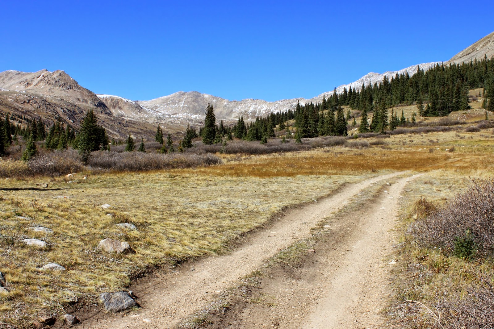 Mountain Mama: Mosquito Pass, Colorado 2014