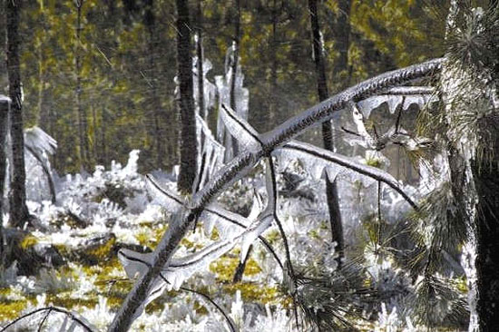 Every Day Is Special: January 26 – Duarte Day in the Dominican Republic