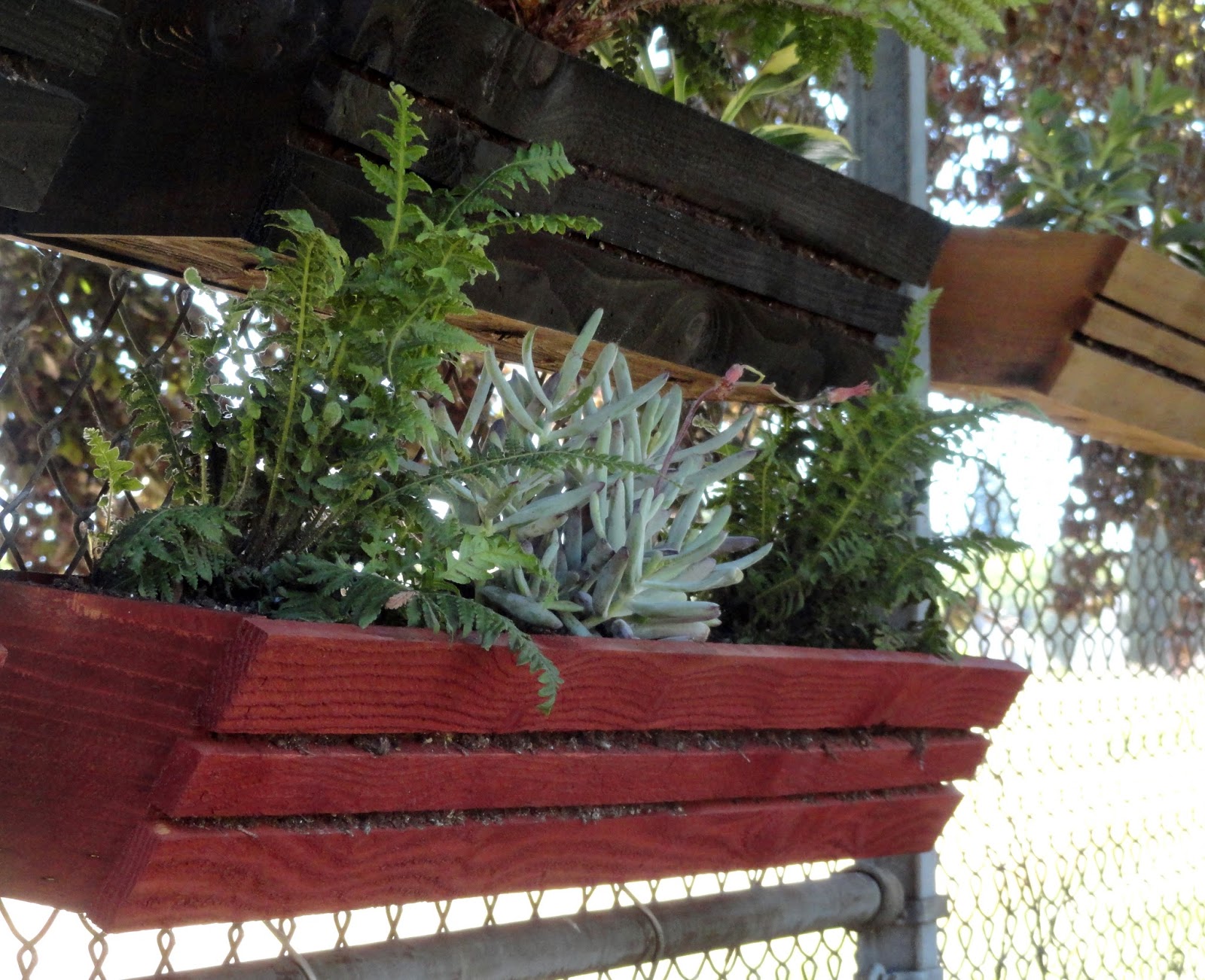 danger garden: Brilliant and yet…