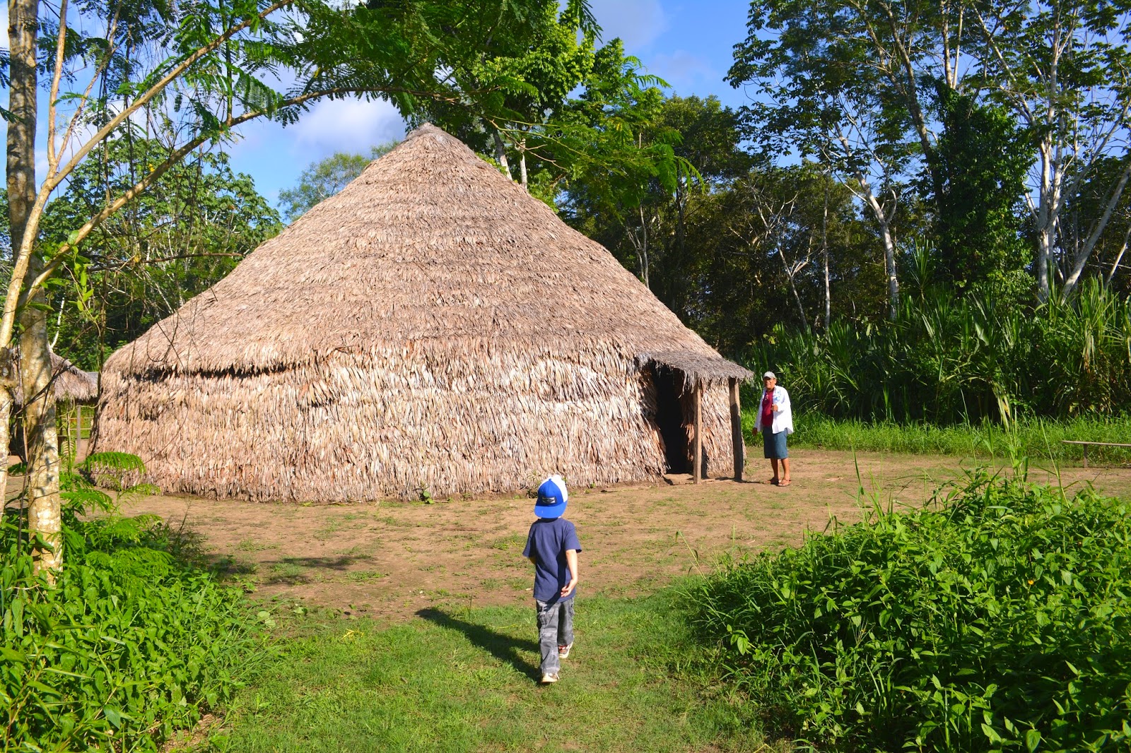 The Thrill on Berryhill ..........................: Amazon