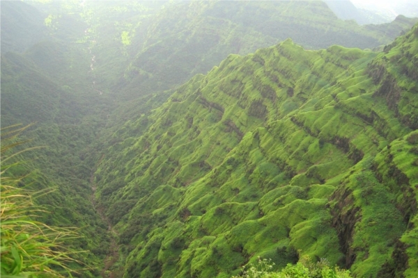 #TLF-trekking lovers forever: HASSAN VALLEY cycling trek