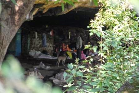 Kardali Van: Photo Album 4 - Kardalvanam - Forest